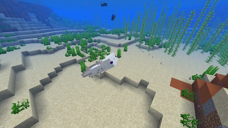White Axolotl Variant Minecraft Texture Pack