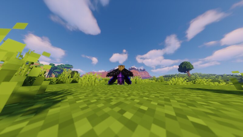 Eclipse's Better Elytras Minecraft Texture Pack