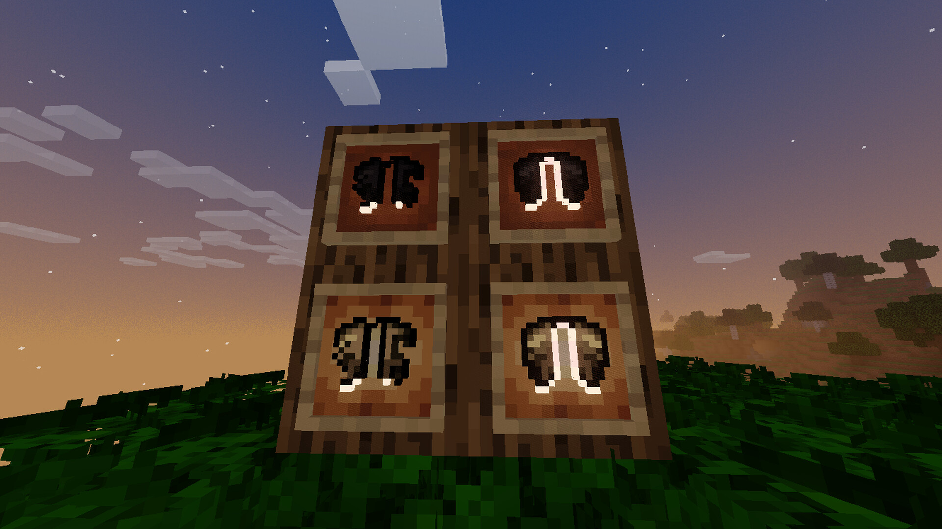 End Elytra. Minecraft Texture Pack