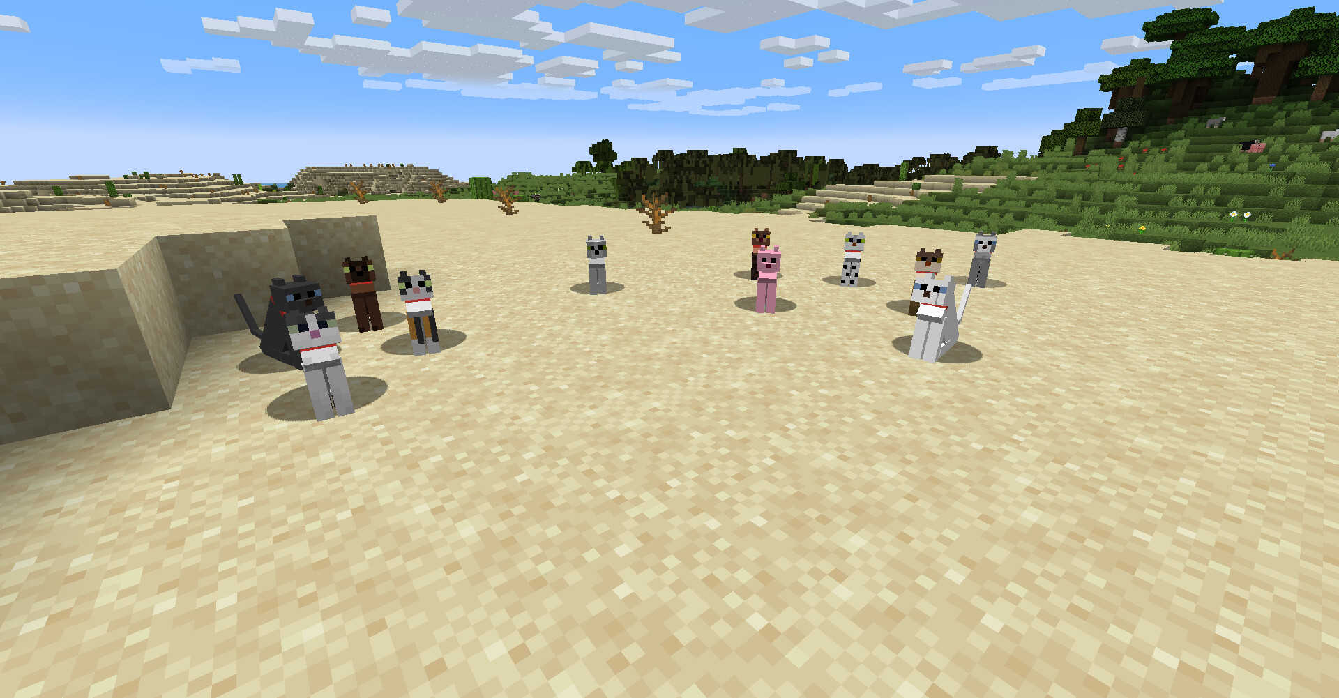 Real Life Cats Minecraft Texture Pack