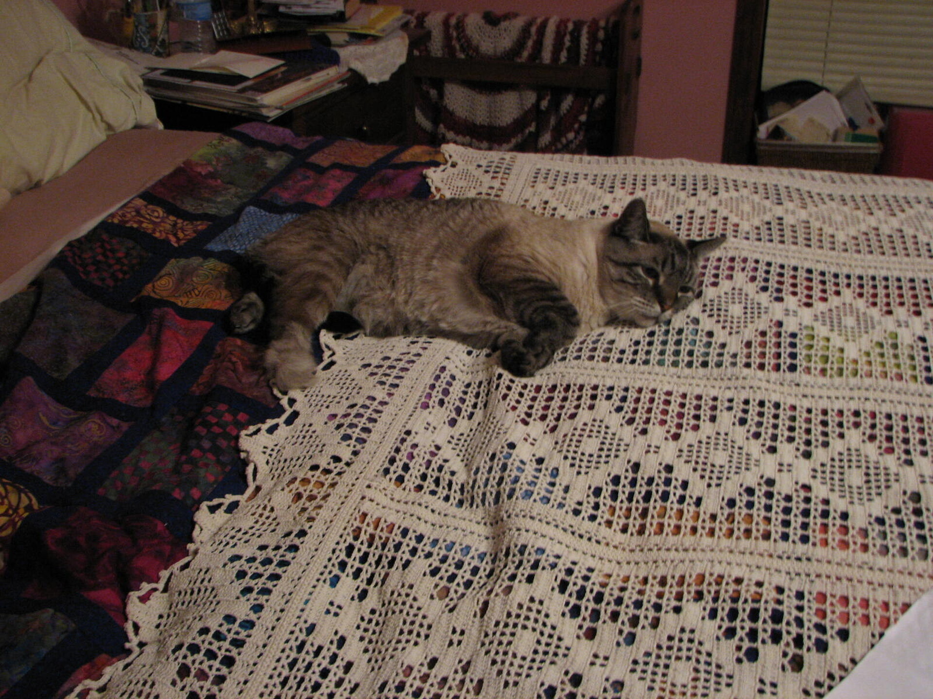 Real Life Cats Minecraft Texture Pack