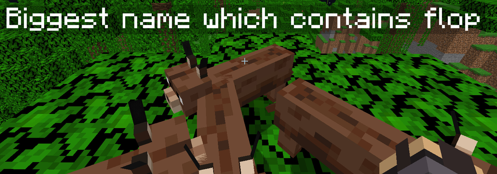 Floppa(Caracal) resource pack! Minecraft Texture Pack