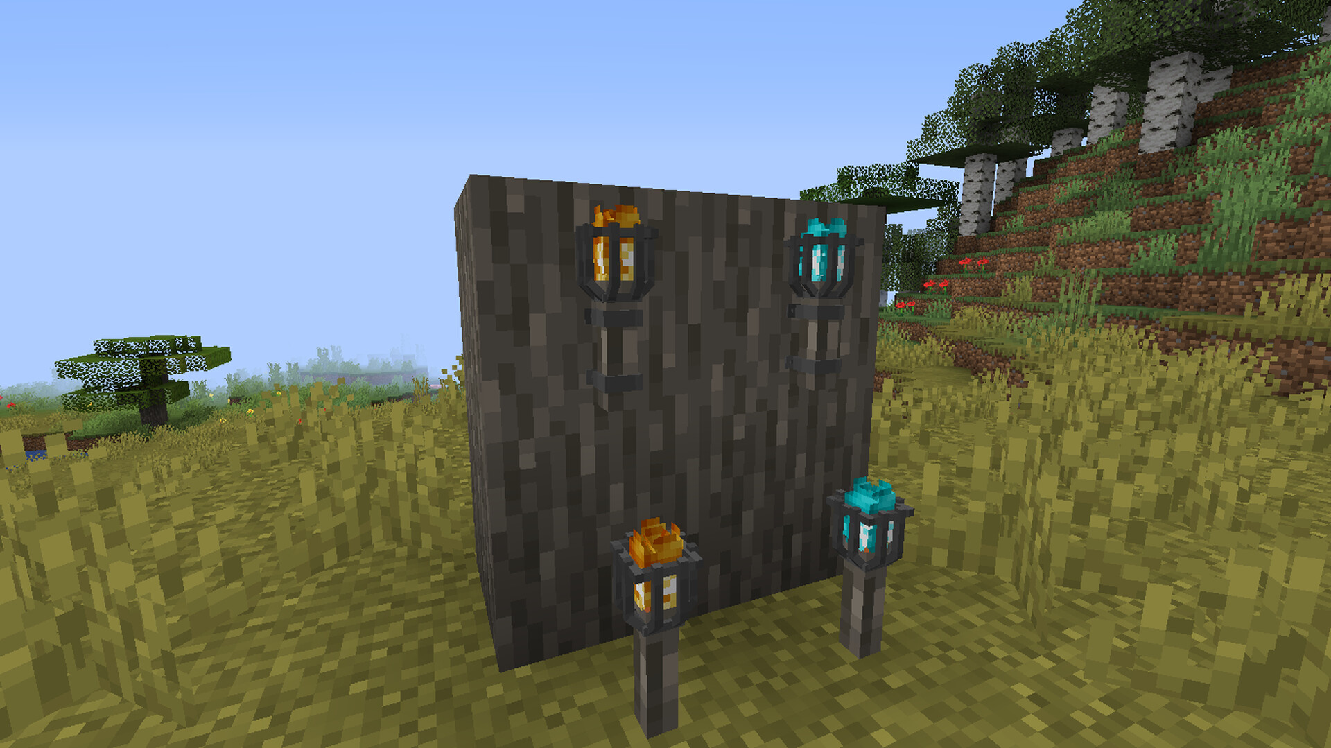 Realistic Torch Biome Minecraft Texture Pack