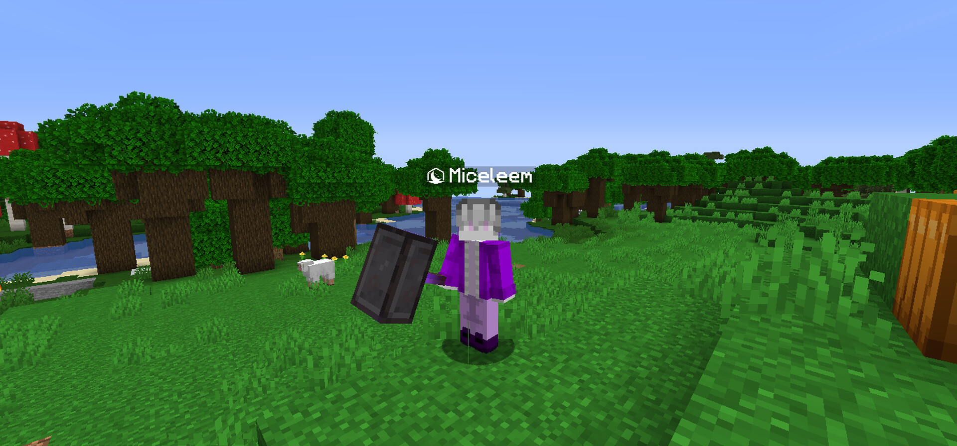 WAR HAMMERS Minecraft Texture Pack