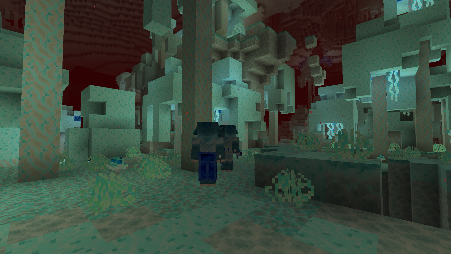 EnderVision! See In Negative (OPTIFINE REQUIRED FOR BEST RESULT ...