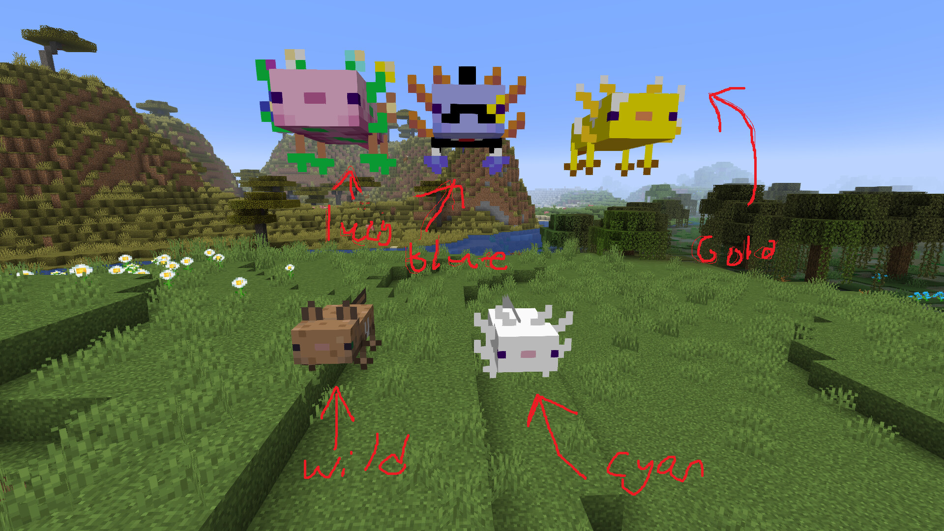 The Axolotl Bundle Minecraft Texture Pack