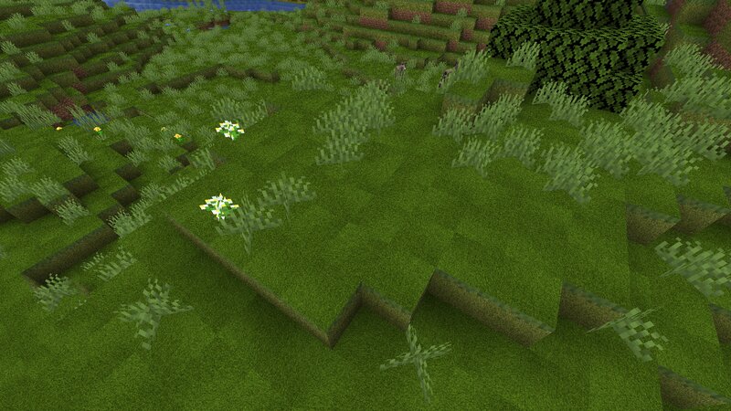 Better Grass (HD) 1.16.1 Minecraft Texture Pack