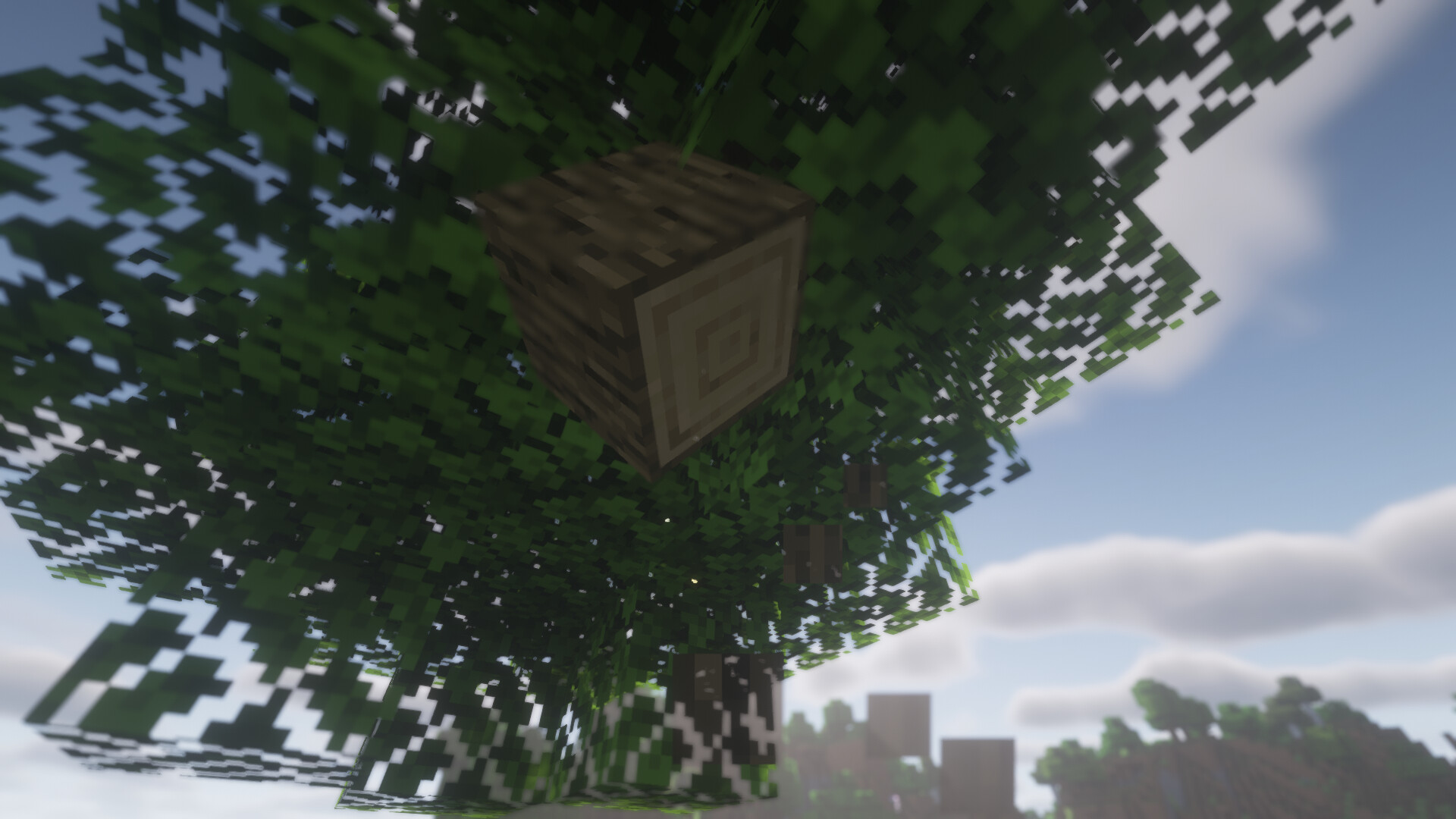 xali's Display Minecraft Texture Pack