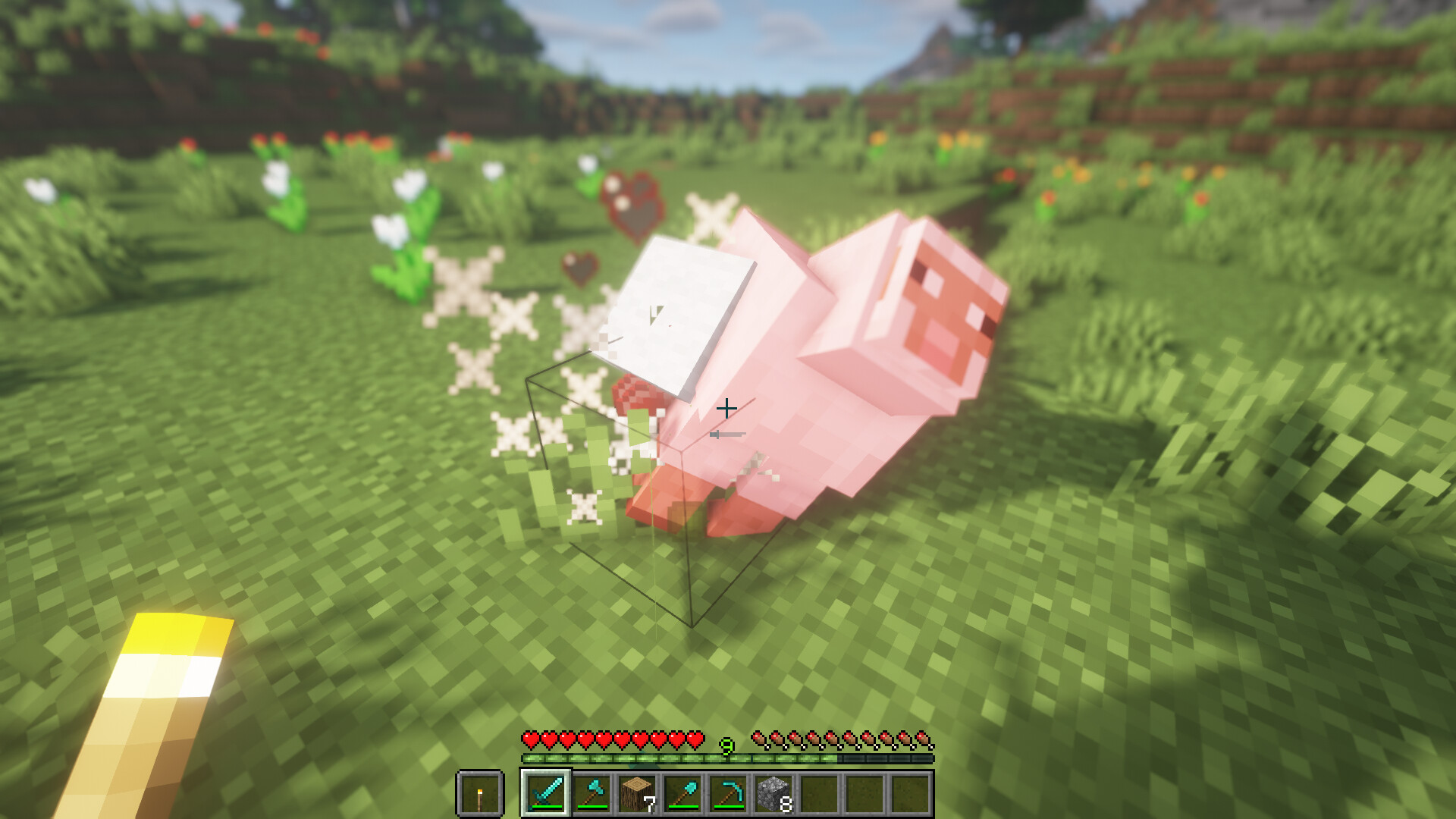 xali's Display Minecraft Texture Pack