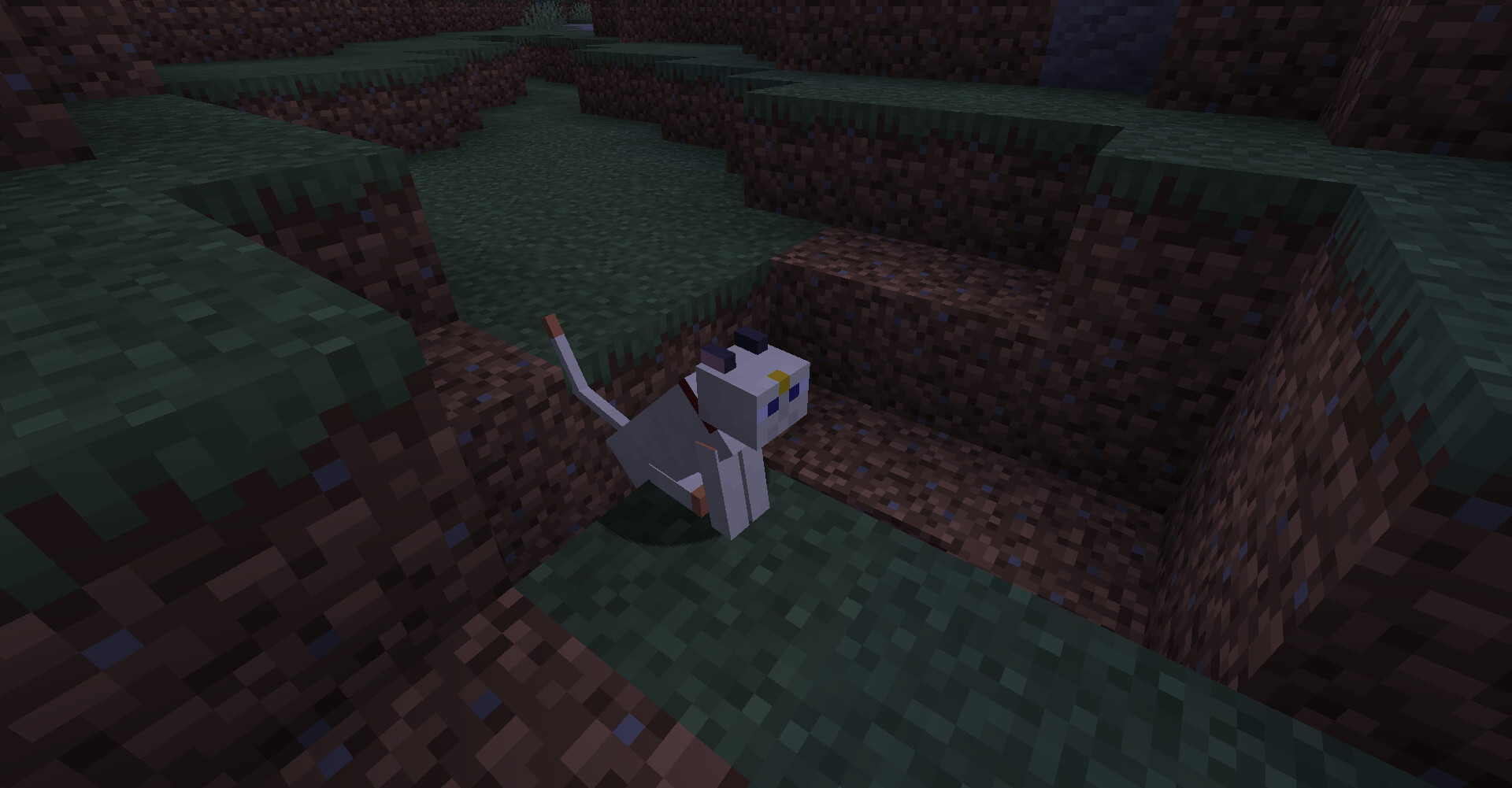 Meowth over cat! Minecraft Texture Pack