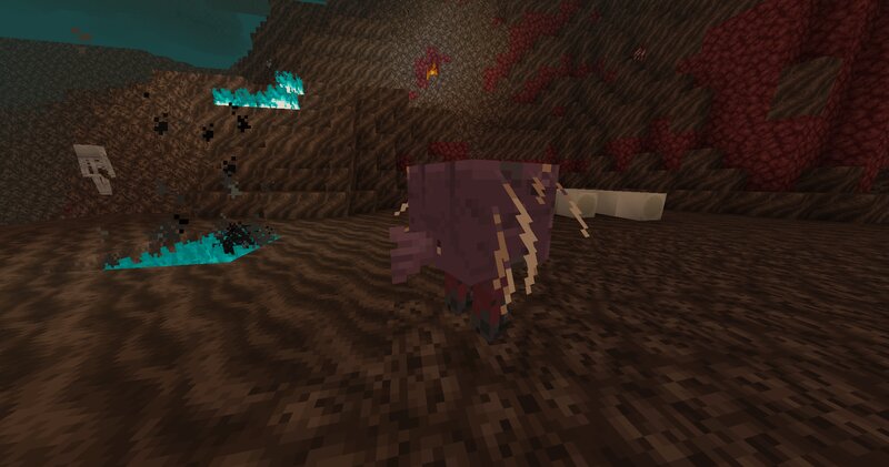 Strider Fins Minecraft Texture Pack