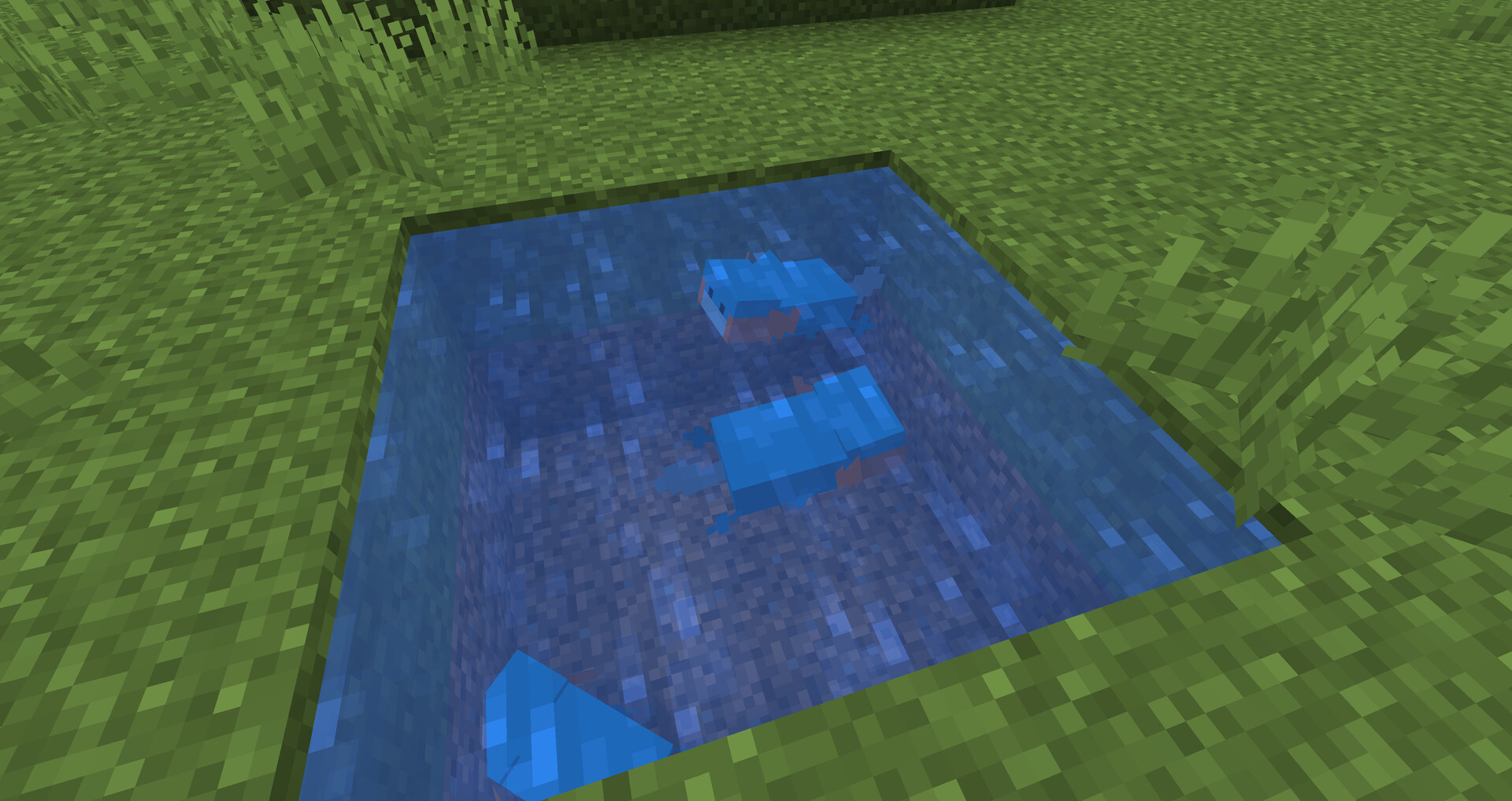 Mudkip Minecraft Texture Pack
