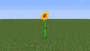 Pretty Sunflowers (1.18.x) Minecraft Texture Pack