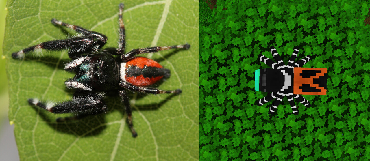 Natural Spiders Minecraft Texture Pack