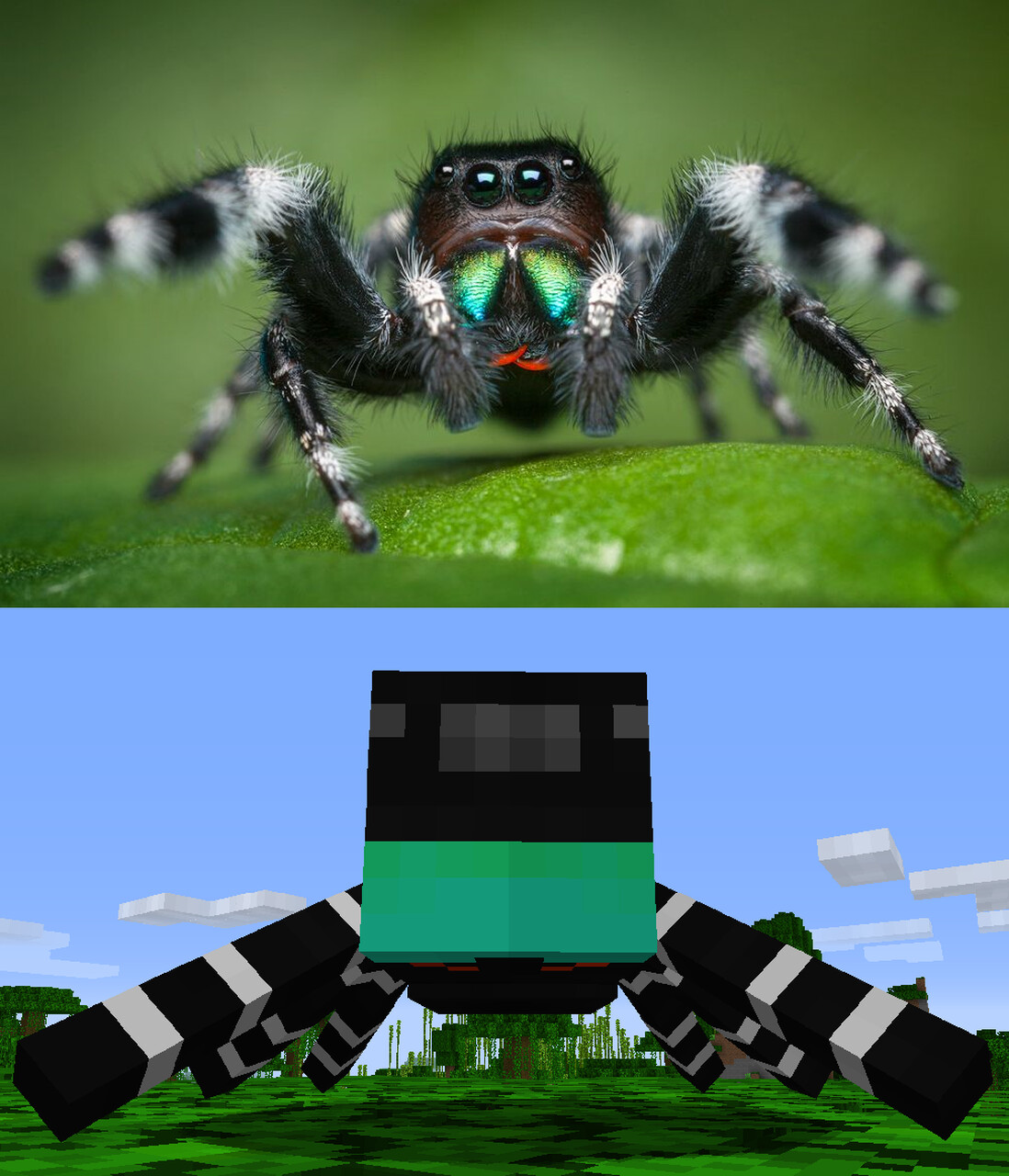 Natural Spiders Minecraft Texture Pack