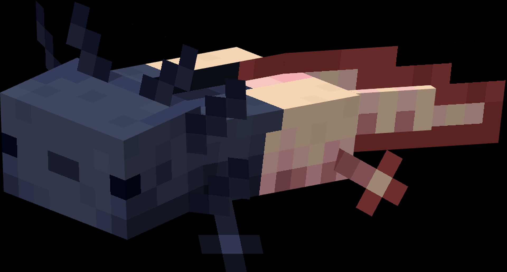 More axolotls variants v4 Minecraft Texture Pack