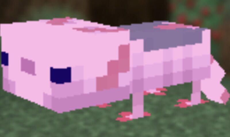 The Flying Axo Minecraft Texture Pack