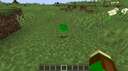 Creeper Coin Minecraft Texture Pack