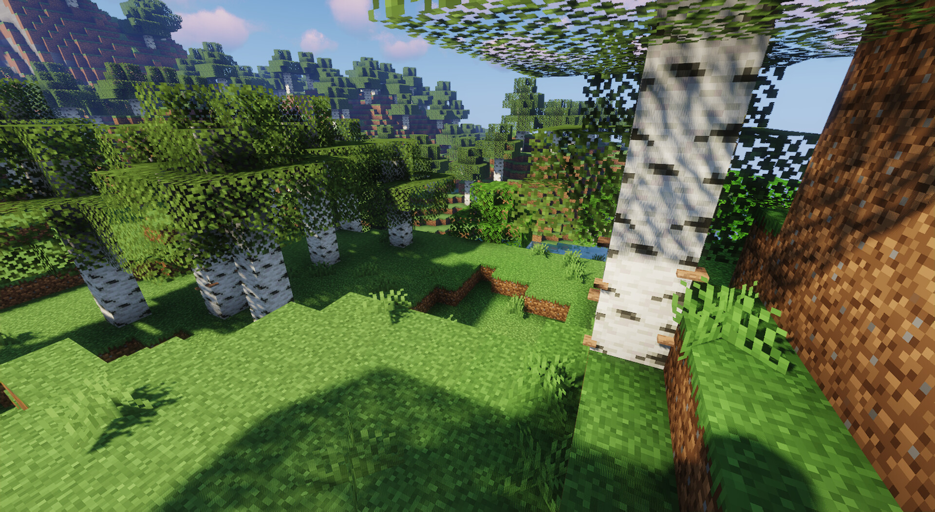 Mushroom Birch Trees Minecraft Texture Pack