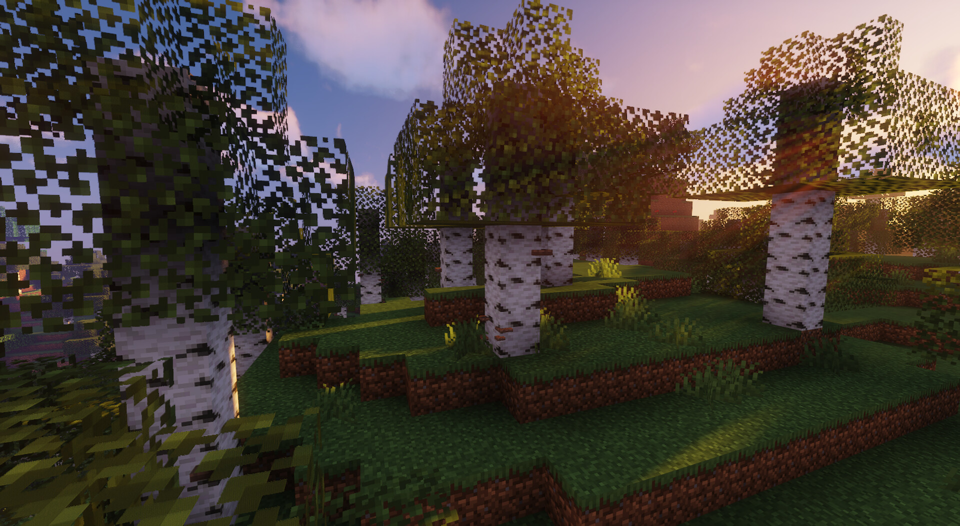 Mushroom Birch Trees Minecraft Texture Pack