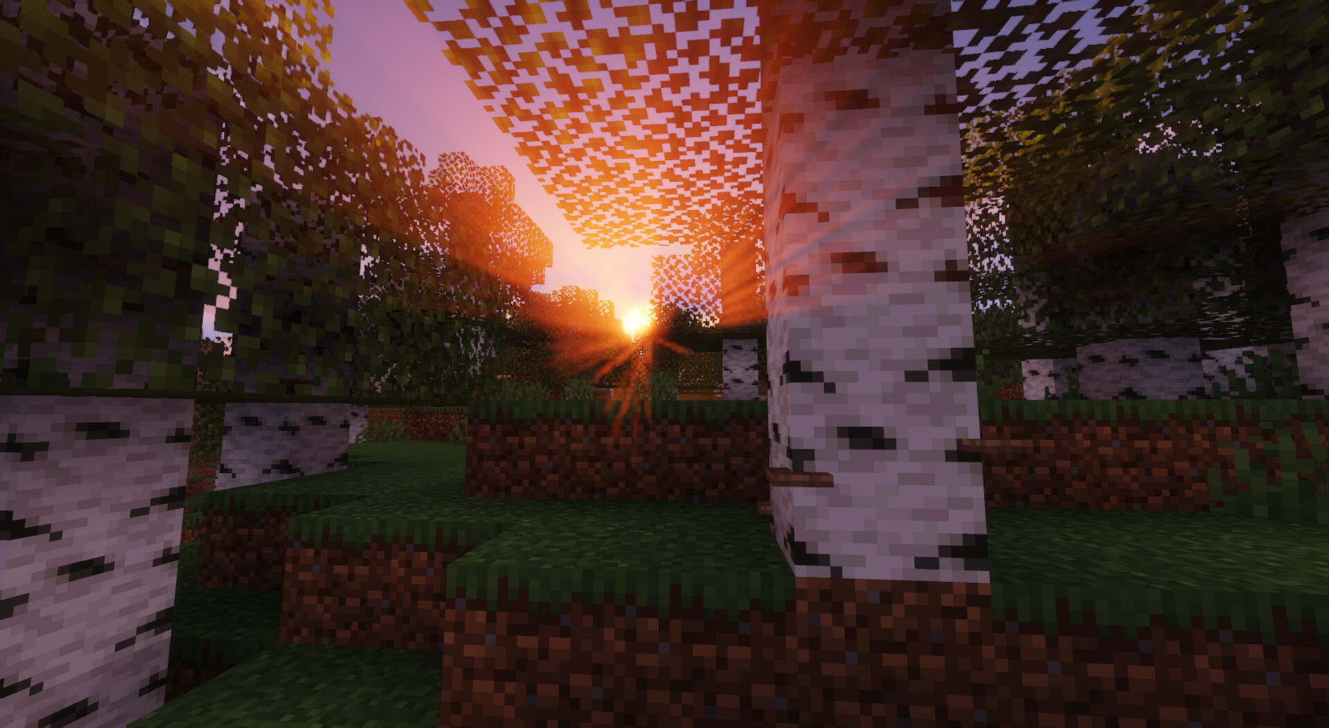 Mushroom Birch Trees Minecraft Texture Pack