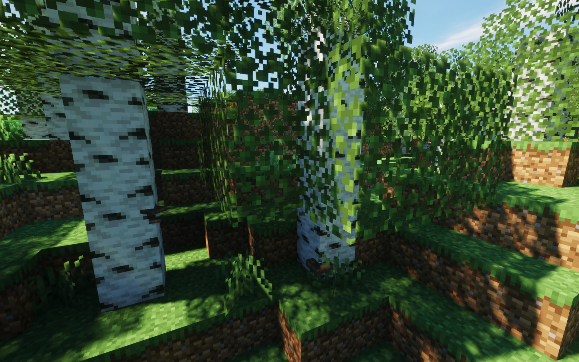 Mushroom Birch Trees Minecraft Texture Pack