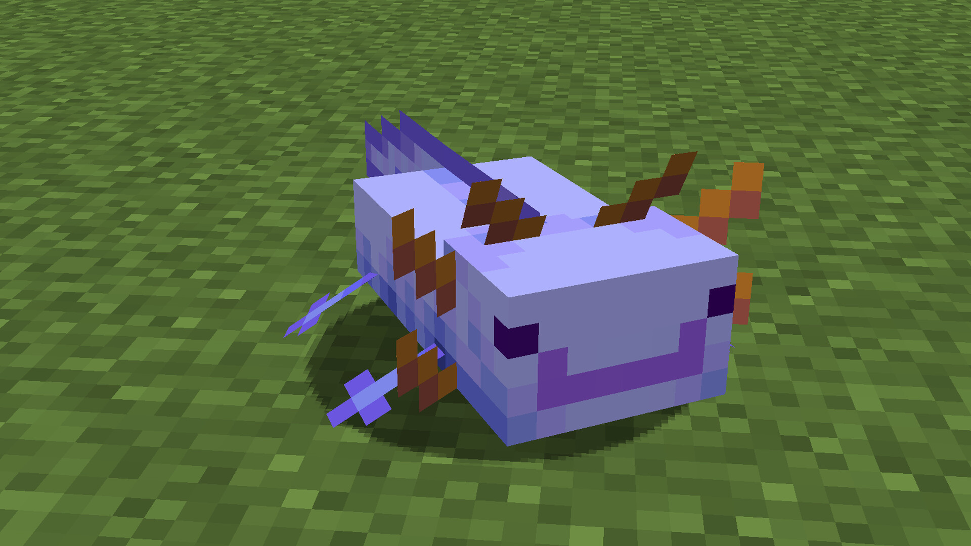 Derp Axolotls Minecraft Texture Pack