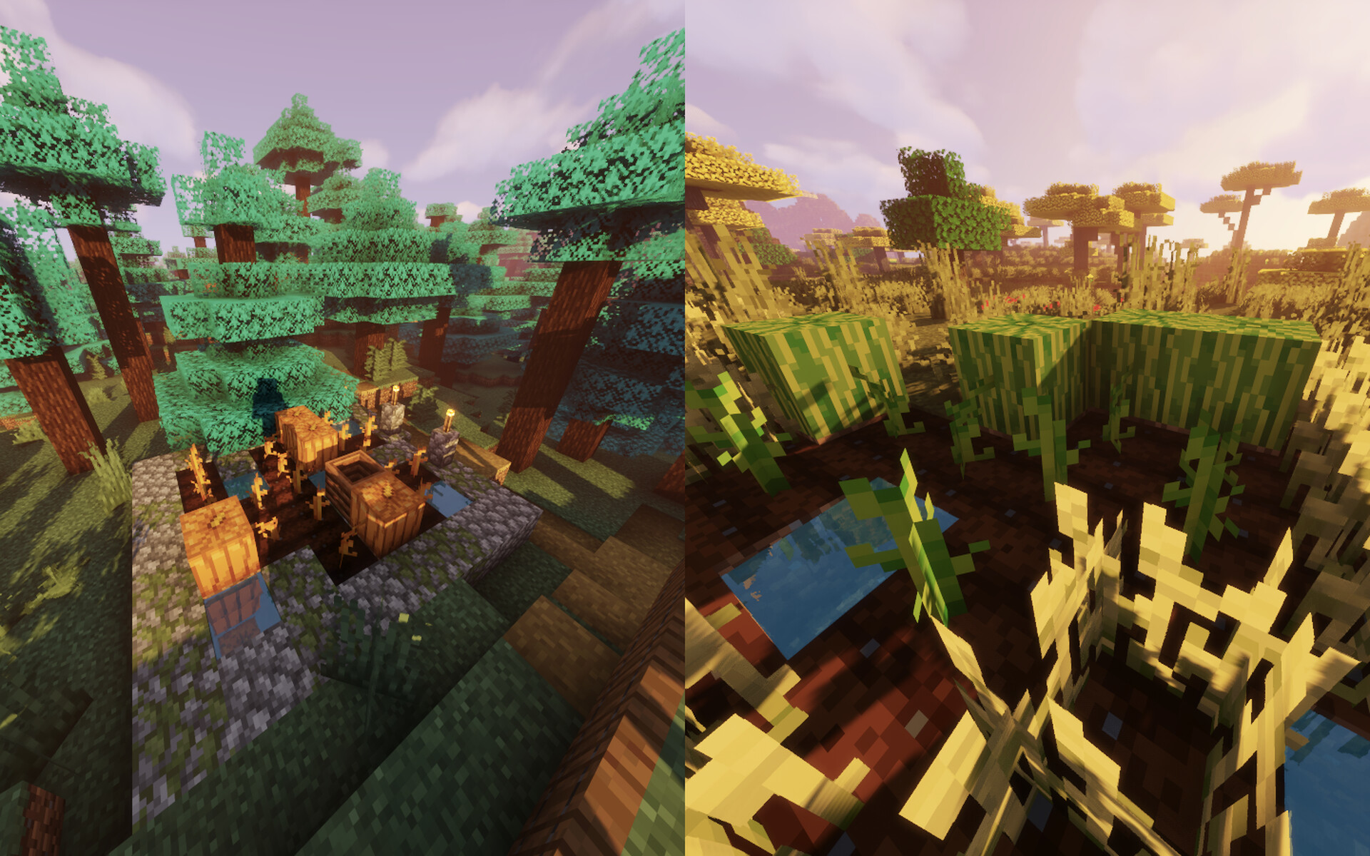 Colorful Flora (Bedrock Edition) Minecraft Texture Pack