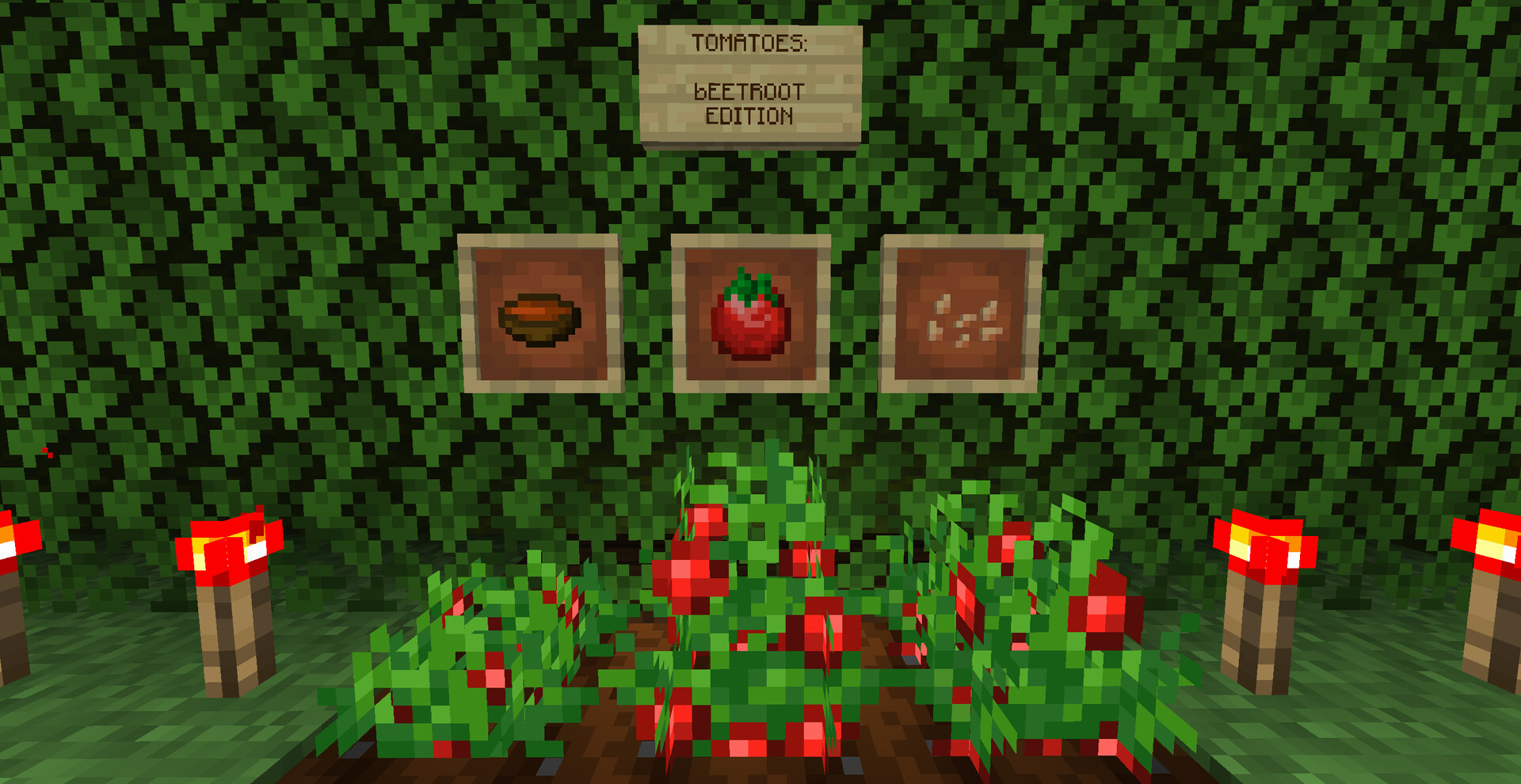 Tomatoes Beetroot Edition Minecraft Texture Pack