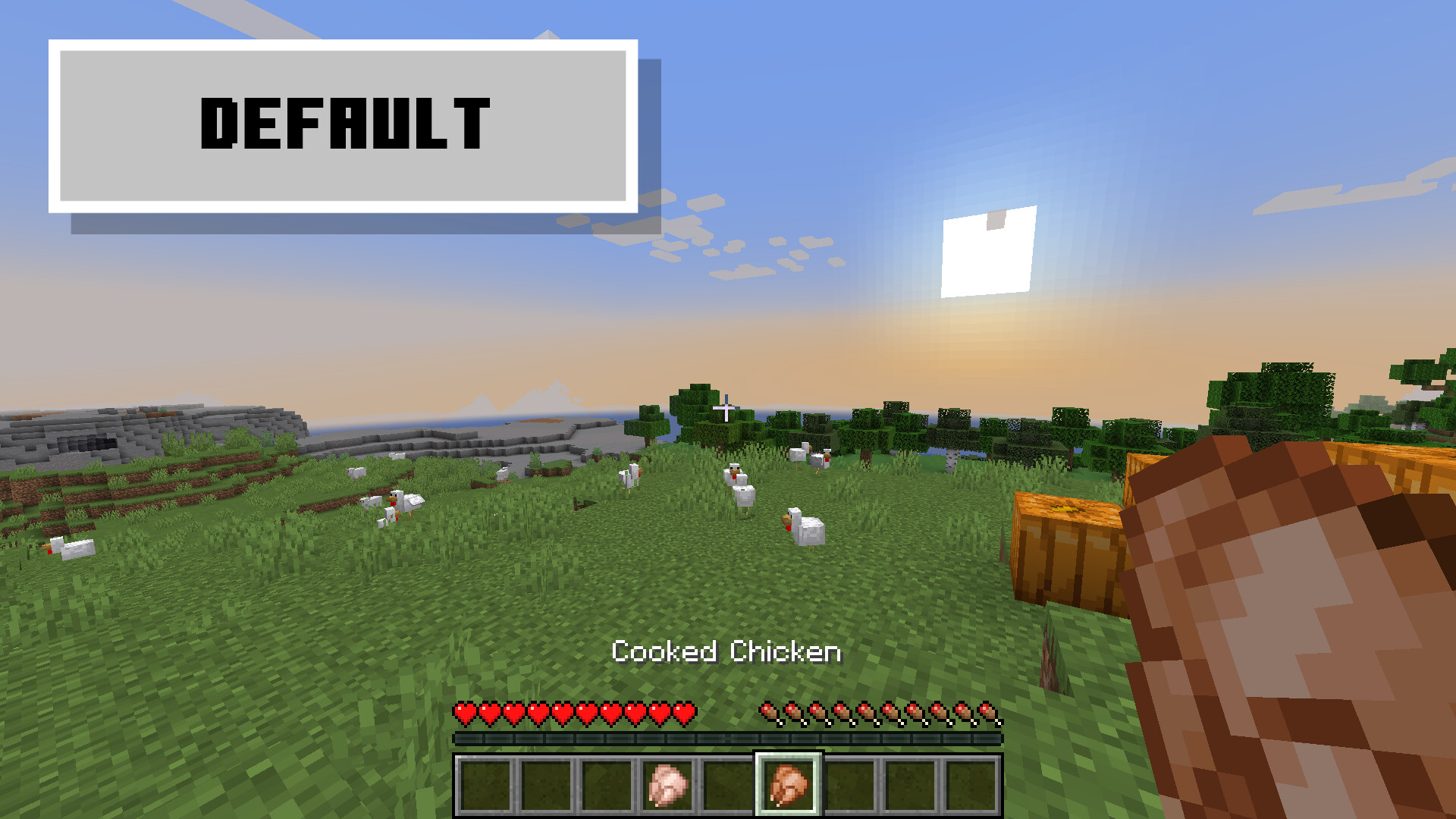 Fried Chicken for 1.18 | v1.0.1 Minecraft Texture Pack