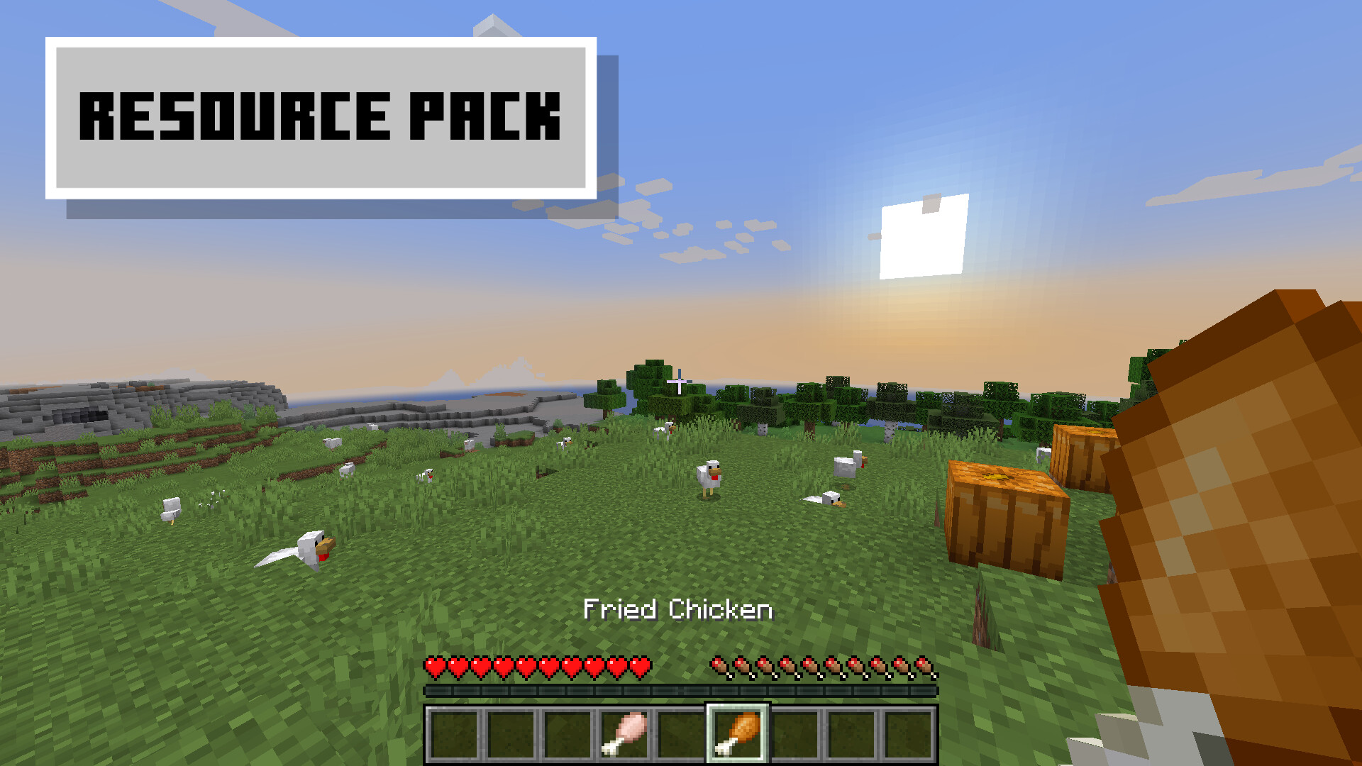 Fried Chicken for 1.18 | v1.0.1 Minecraft Texture Pack