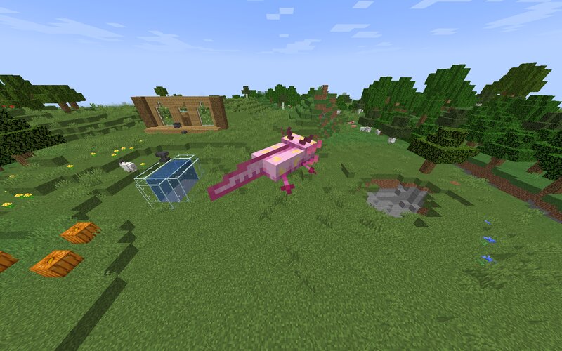 Axolotl Retexture | Tusk ACT1 Minecraft Texture Pack