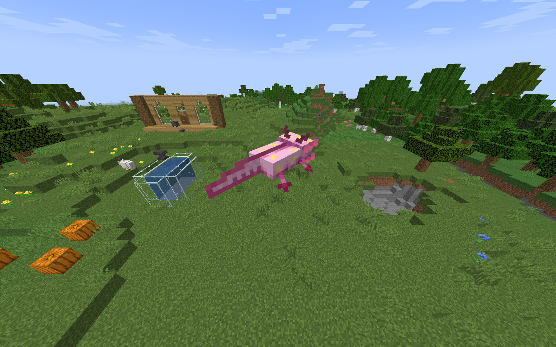 Axolotl Retexture | Tusk ACT1 Minecraft Texture Pack