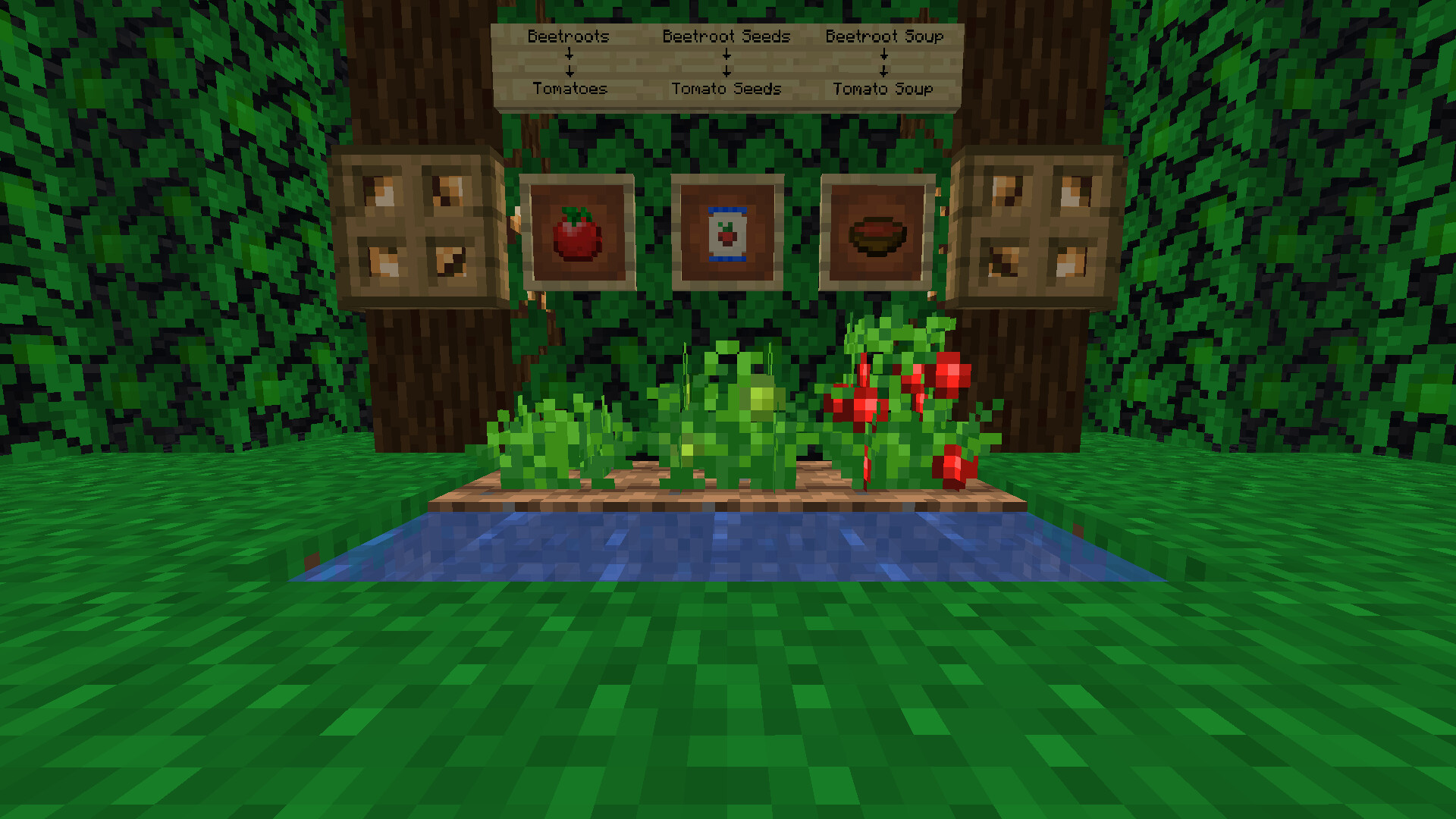Beetroots to Tomatoes (1.16+) Minecraft Texture Pack