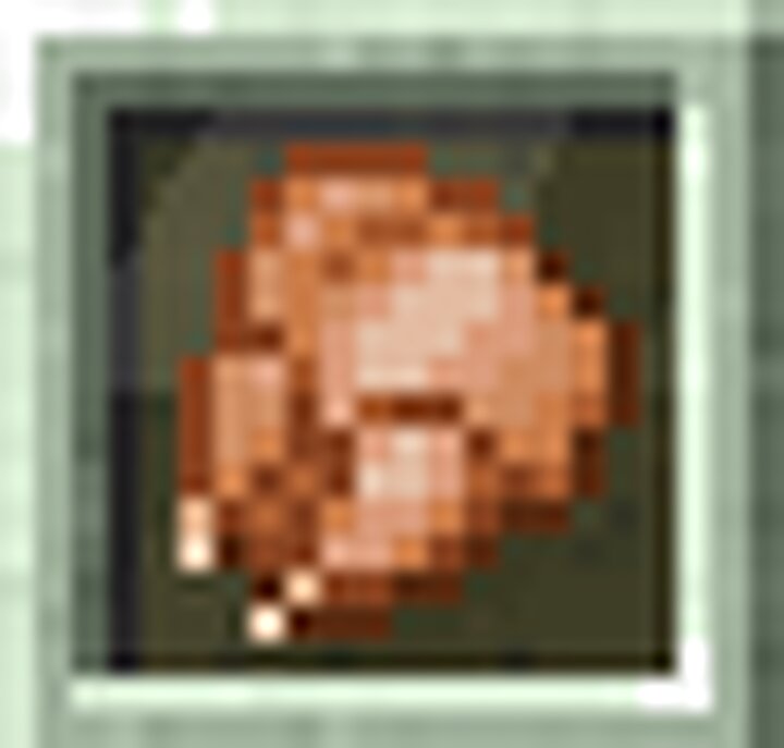 Minecraft Cooked Chicken