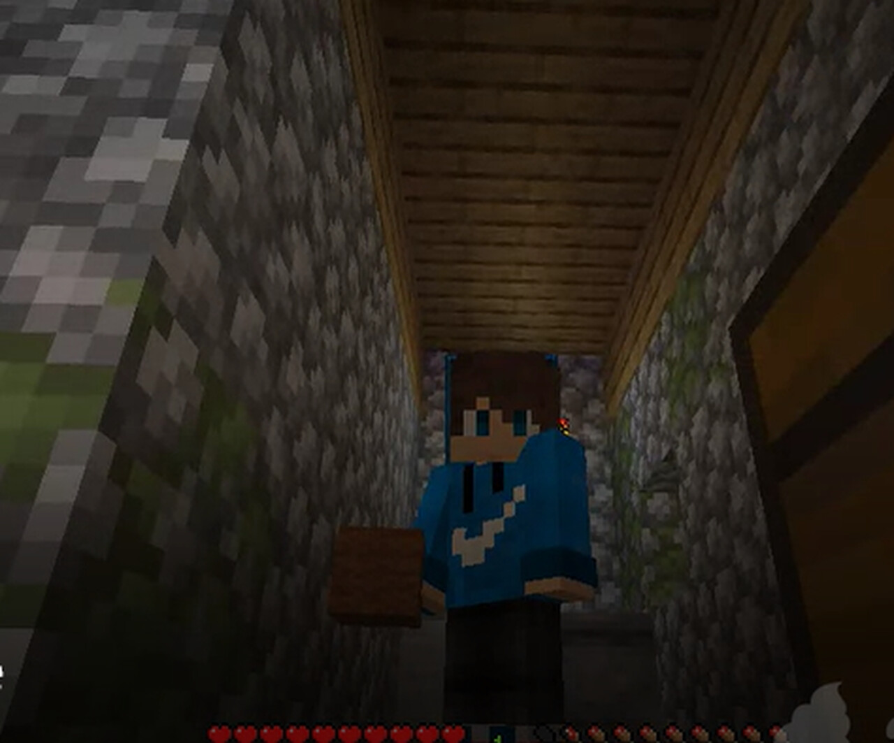 skins for minecraft Minecraft Texture Pack