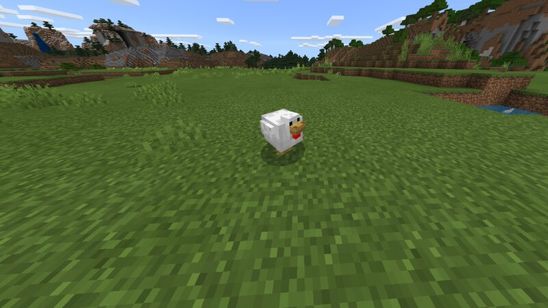 Chonky Chickens Texturepack Minecraft Texture Pack