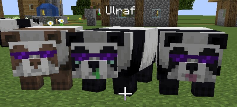 Named Ulraf Pandas Minecraft Texture Pack