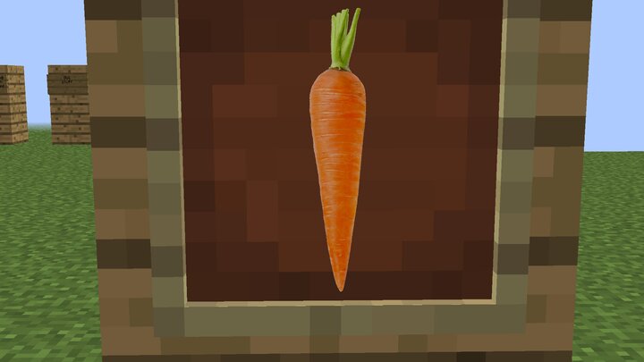 Exo's Realistic Food Pack 1.16.4 (1.8.9 in desc) Minecraft Texture Pack