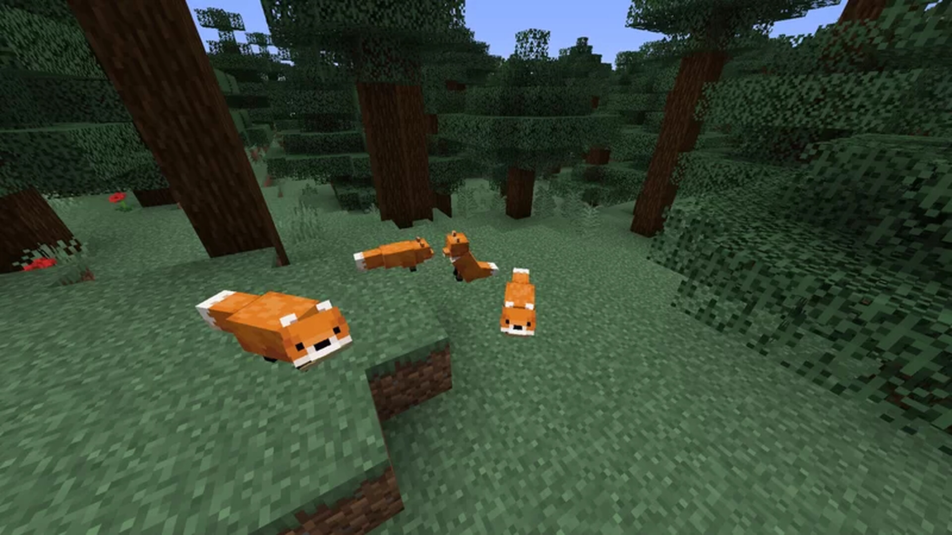 Fat Foxes Minecraft Texture Pack