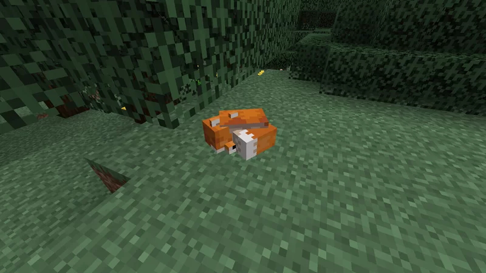 Fat Foxes Minecraft Texture Pack