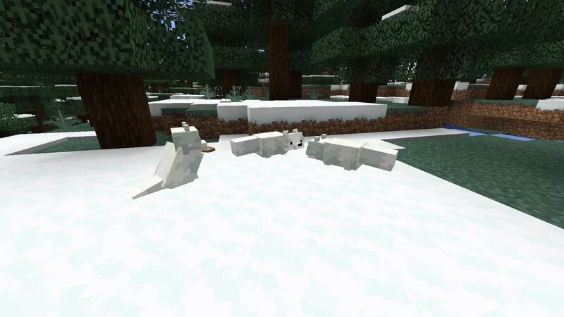 Fat Foxes Minecraft Texture Pack