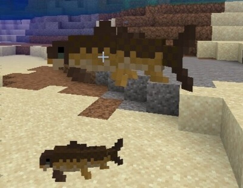 Carp replace salmon - Bedrock version Minecraft Texture Pack