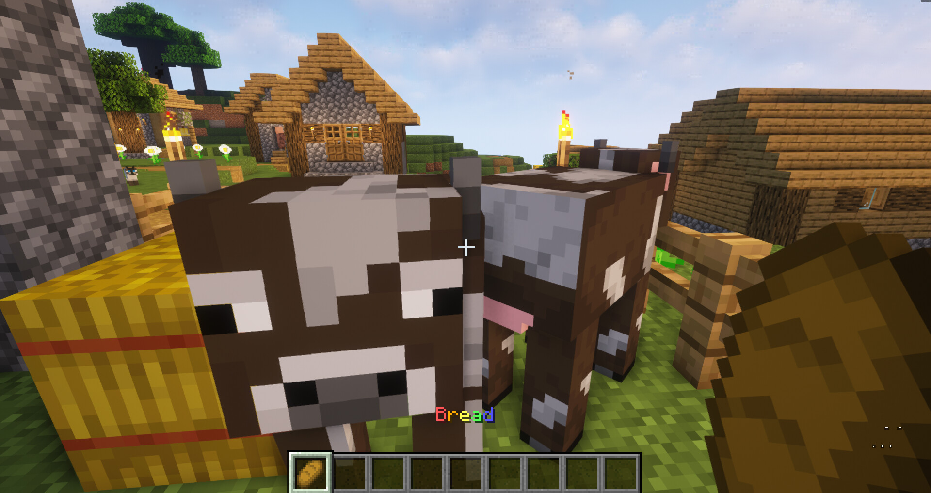 Dani speedrun pack Minecraft Texture Pack