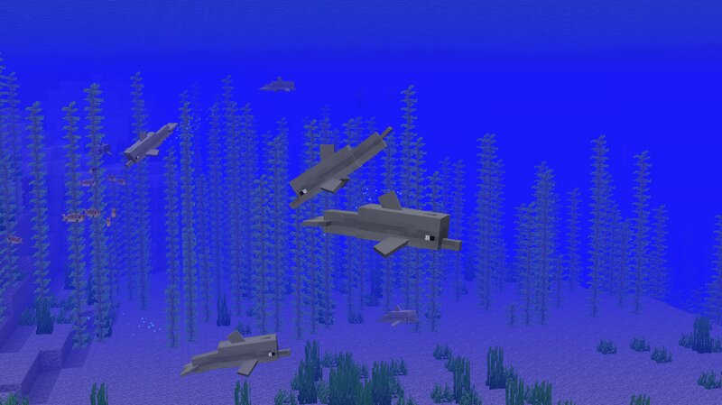 Accurate Dolphins [Java] Minecraft Texture Pack