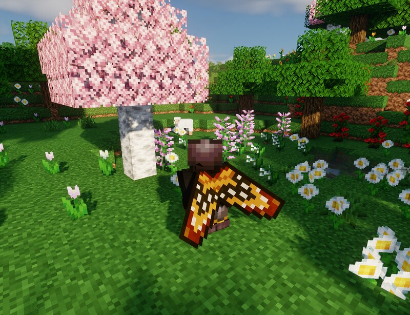 ElytraPack Minecraft Texture Pack