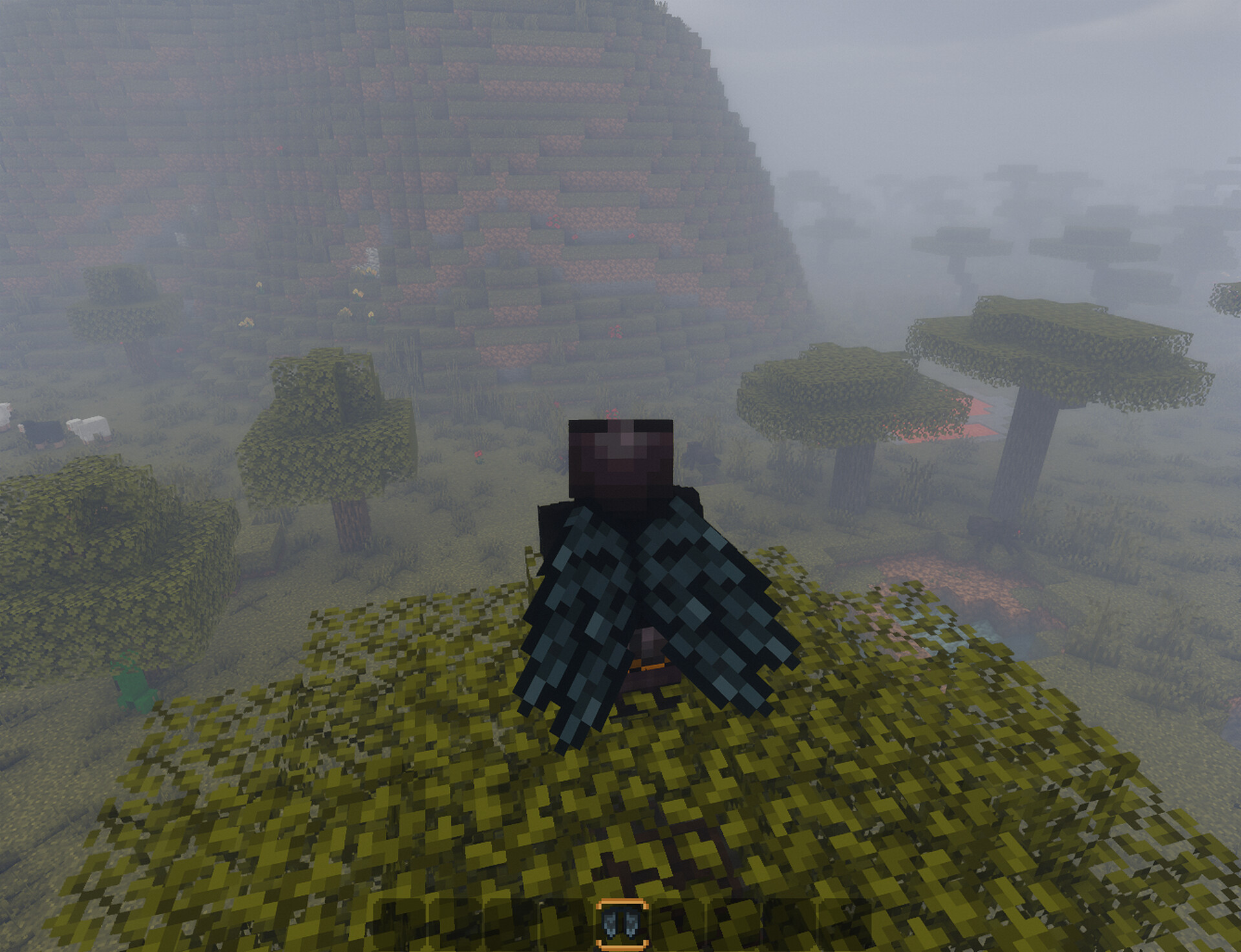 ElytraPack Minecraft Texture Pack