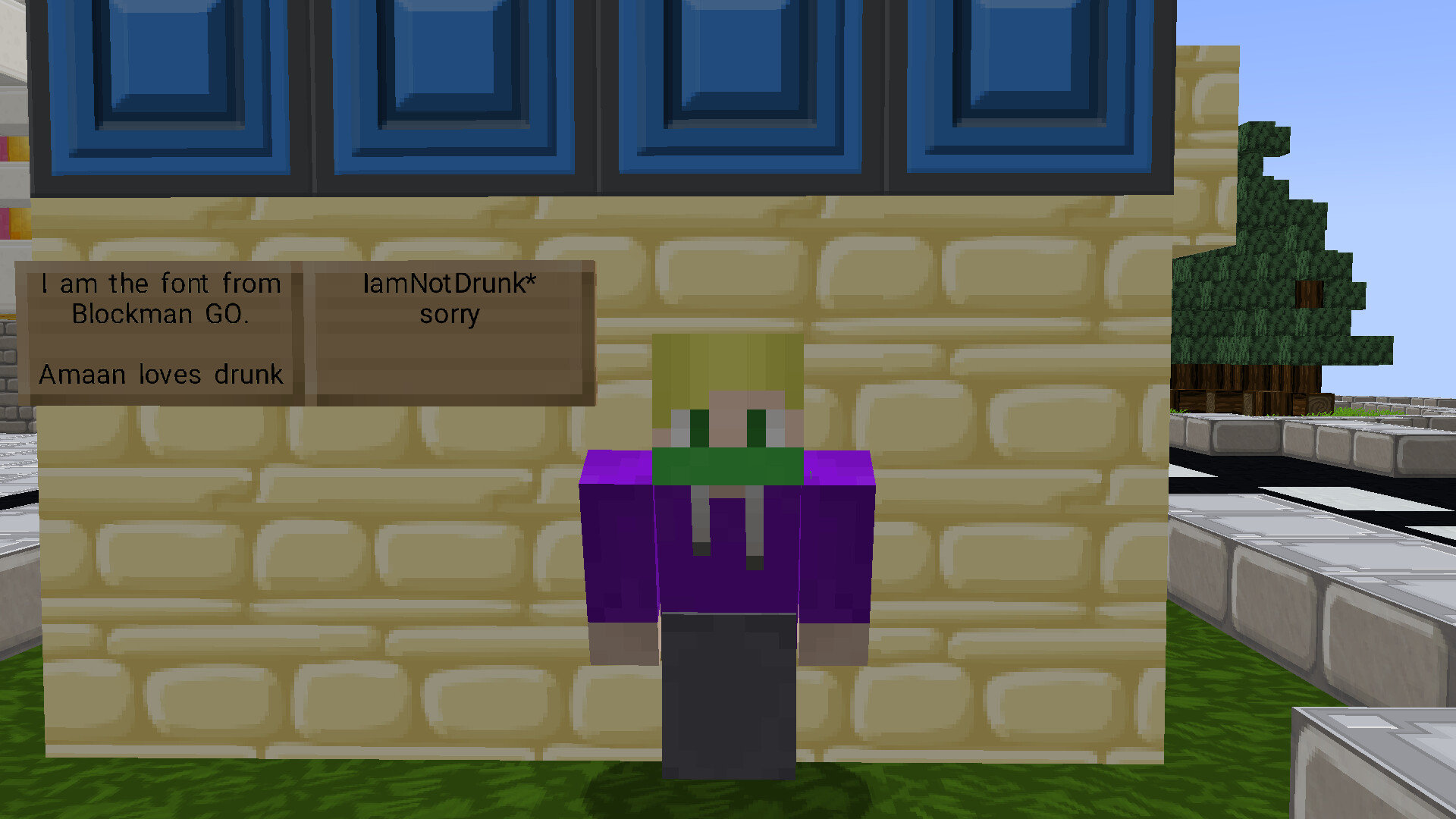 Blockman GO Madness - Minecraft Java/Bedrock Edition resource pack ...