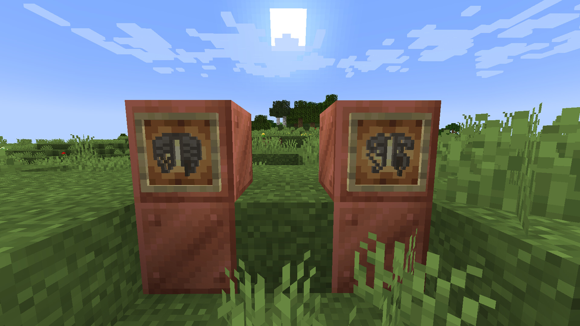 Steampunk Elytra Minecraft Texture Pack