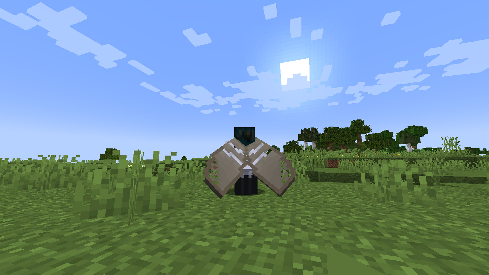 Steampunk Elytra Minecraft Texture Pack